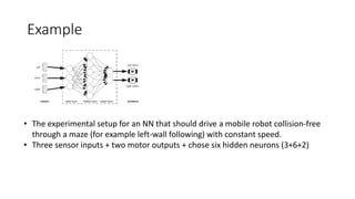 Lecture 11 neural network principles | PPT