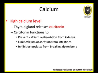 Lecture 11 nutrients involved in bone health | PPTX