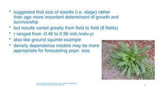 Lecture 11 Stage Structured Models 2024 SR 10.ppt.pptx