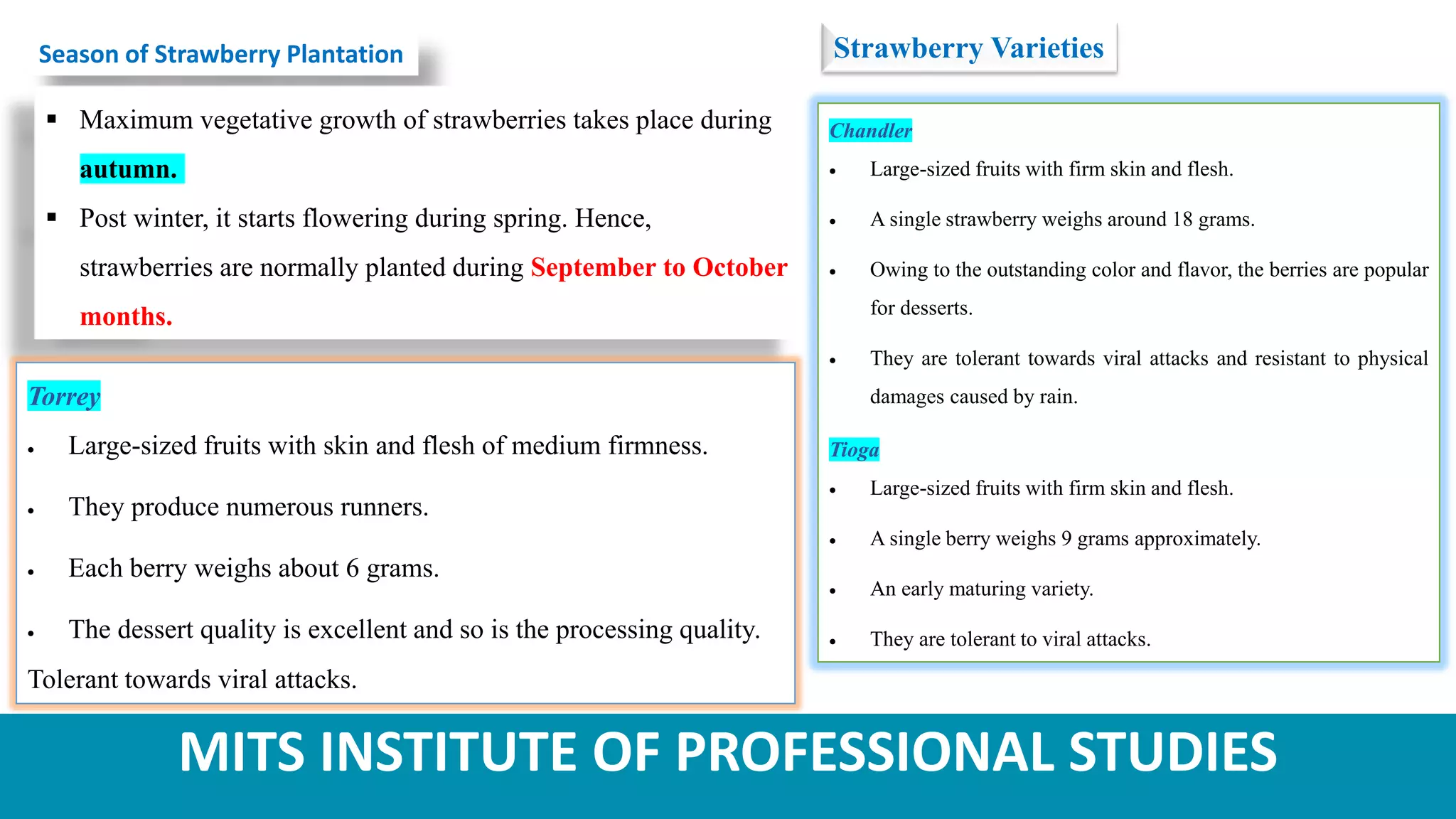Strawberry cultivation | PPTX