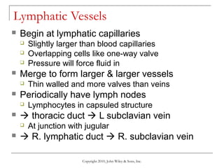 Lecture 11 the lymphatic system and immunity | PPT