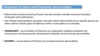 Lecture # 11, Vascular Disorders, Edema.pdf