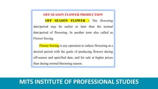 Off season flower production and vegetable in off season in green house ...