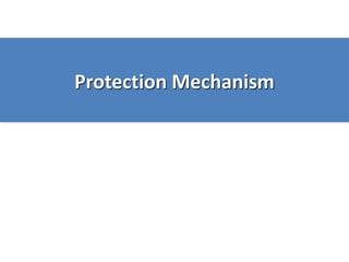 Security Principles and Protection Mechanism | PPT