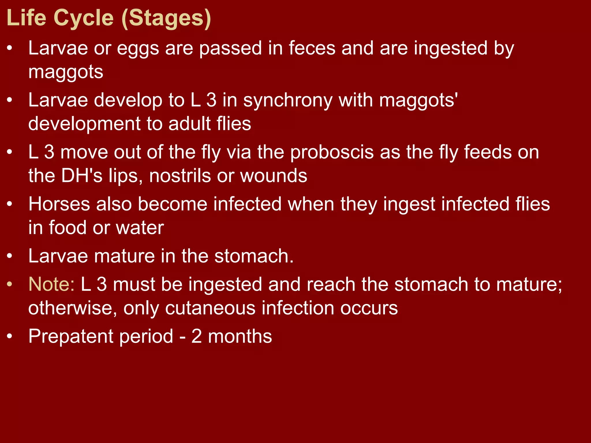 Lecture 12 | PPT