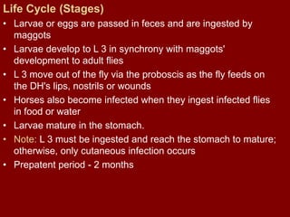 Lecture 12 | PPT