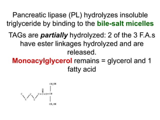lecture12.lipid.metabolism-1.ppt