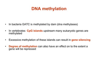 Lecture 12.ppt