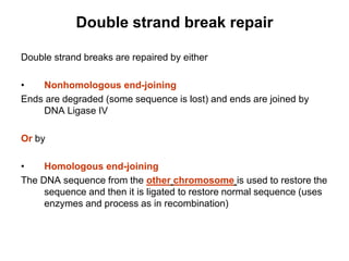 Lecture 12.ppt