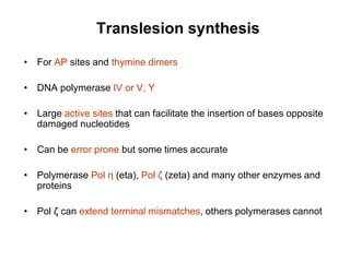 Lecture 12.ppt