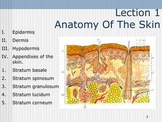 Skin and its diseases. Dermatology description | PPT