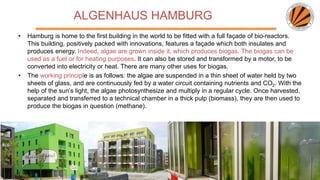 Lecture 1 2 of the course IFD402 at LPU(Building Design) | PPTX
