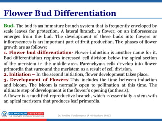 IRRIGATION METHODS AND ITS USES IN HORTICULTURE | PPTX