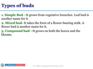 IRRIGATION METHODS AND ITS USES IN HORTICULTURE | PPTX