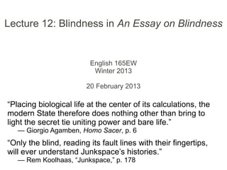 Lecture 12 - Blindness in An Essay on Blindness | PPT