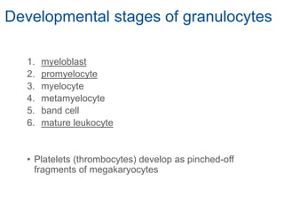 Bone_Marrow1.pptx