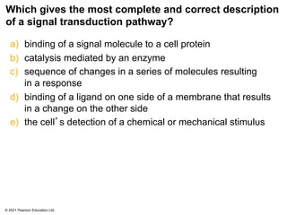 Lecture 12 -Cell signaling II.pdfsssaajaja | PDF