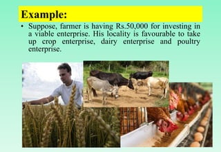 Lecture 12 economic principles applicable to farm management | PPT