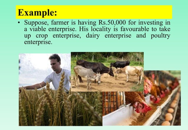 Lecture 12 economic principles applicable to farm management | PPT ...