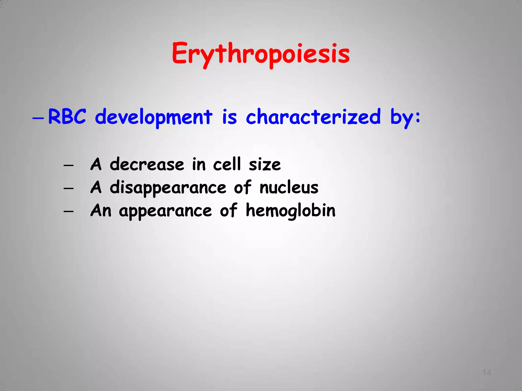 Lecture12 - Erythropoiesis.pptx