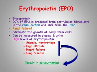 Lecture12 - Erythropoiesis.pptx