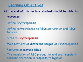 Lecture12 - Erythropoiesis.pptx