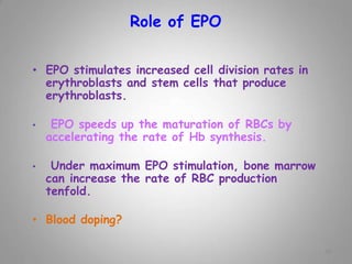 Lecture12 - Erythropoiesis.pptx