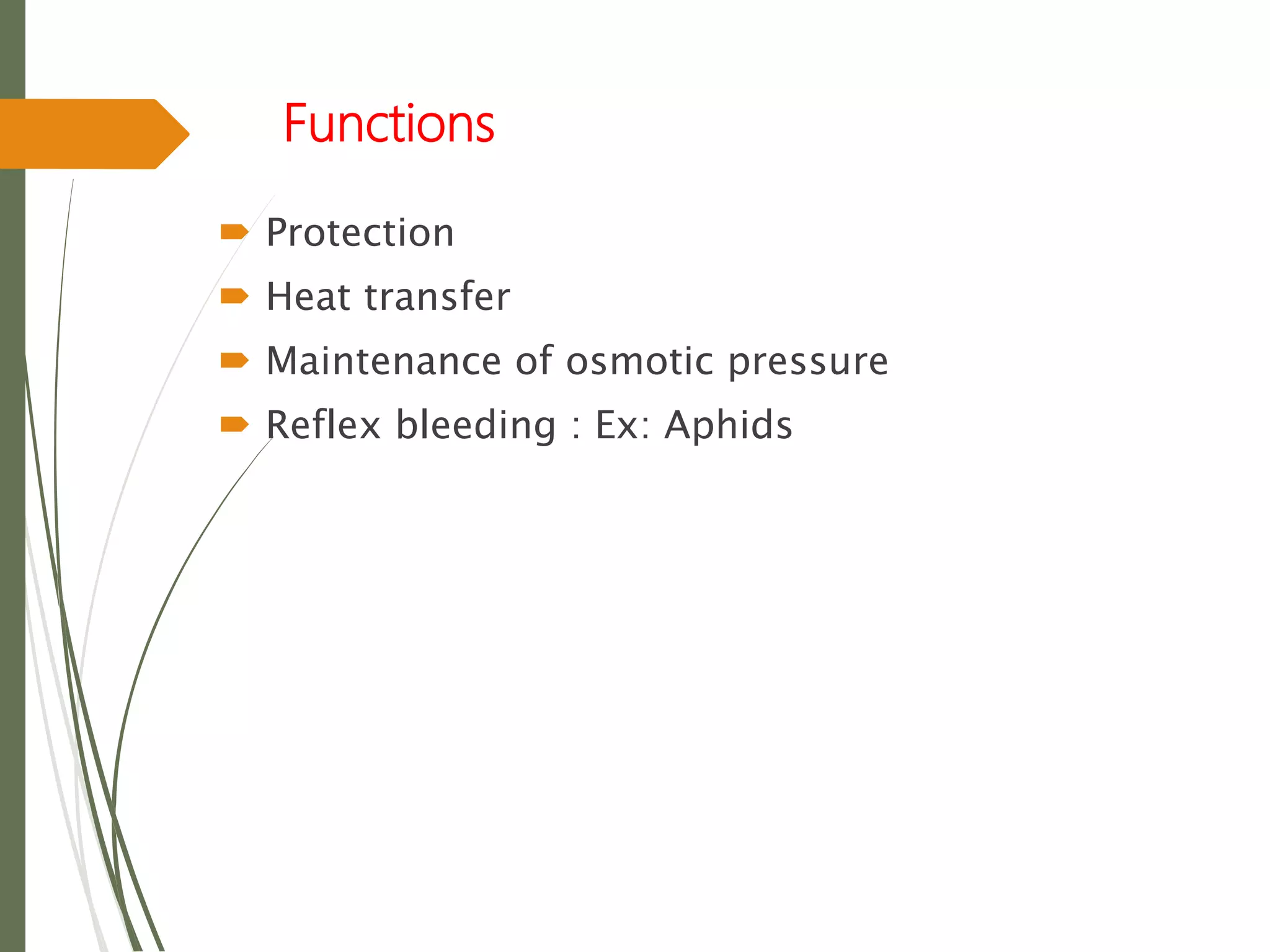Insect circulatory system | PPTX