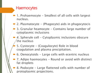 Insect circulatory system | PPTX