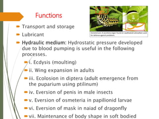 Insect circulatory system | PPTX