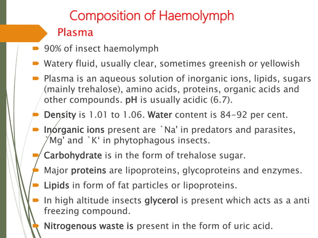 Insect circulatory system | PPTX