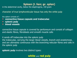 Lecture12 lymphatic system | PPT