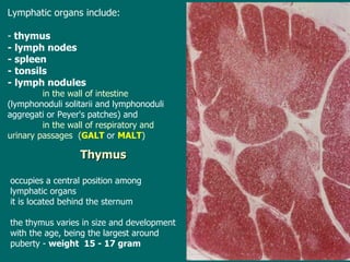 Lecture12 lymphatic system | PPT