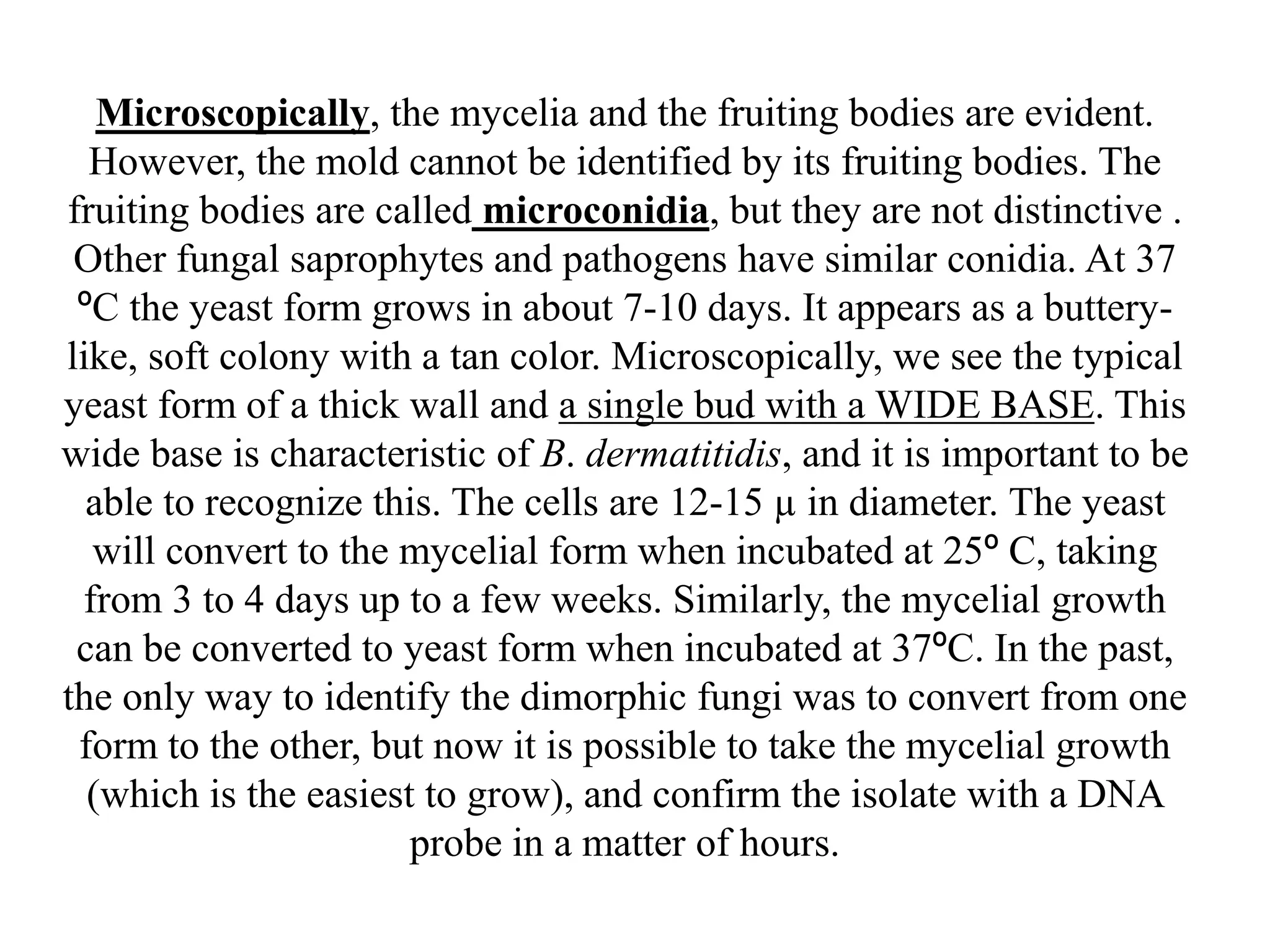 Lecture 12- Medical Mycology- Blastomycosis.ppt
