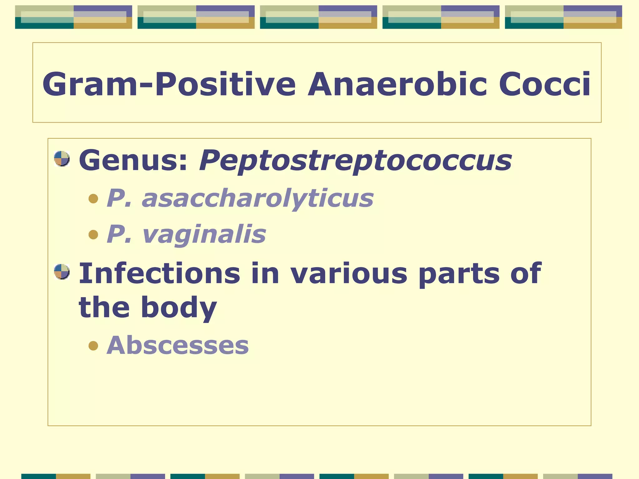 Lecture 12 Non-sporing anaerobes | PPT