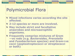 Lecture 12 Non-sporing anaerobes | PPT