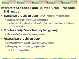 Lecture 12 Non-sporing anaerobes | PPT