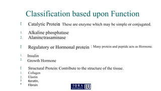 Lecture 12- proteins nomenclature classification and uses | PPTX