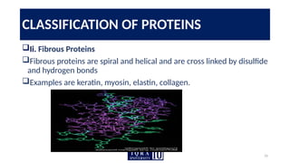 Lecture 12- proteins nomenclature classification and uses | PPTX