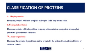Lecture 12- proteins nomenclature classification and uses | PPTX