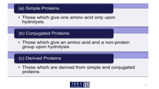 Lecture 12- proteins nomenclature classification and uses | PPTX