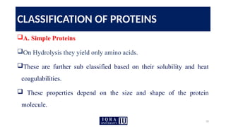 Lecture 12- proteins nomenclature classification and uses | PPTX