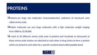 Lecture 12- proteins nomenclature classification and uses | PPTX