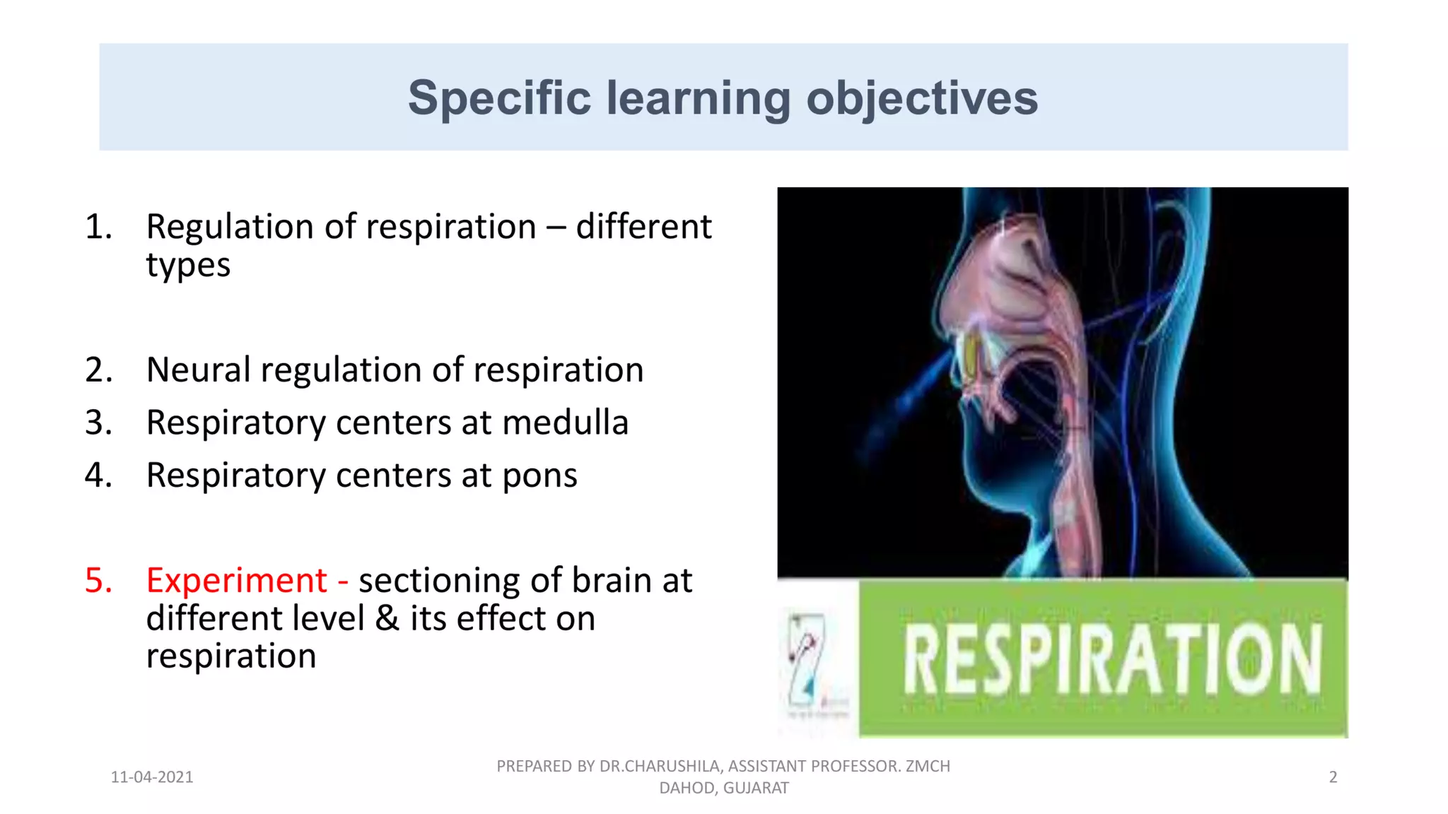 Neural regulation of respiration | PDF