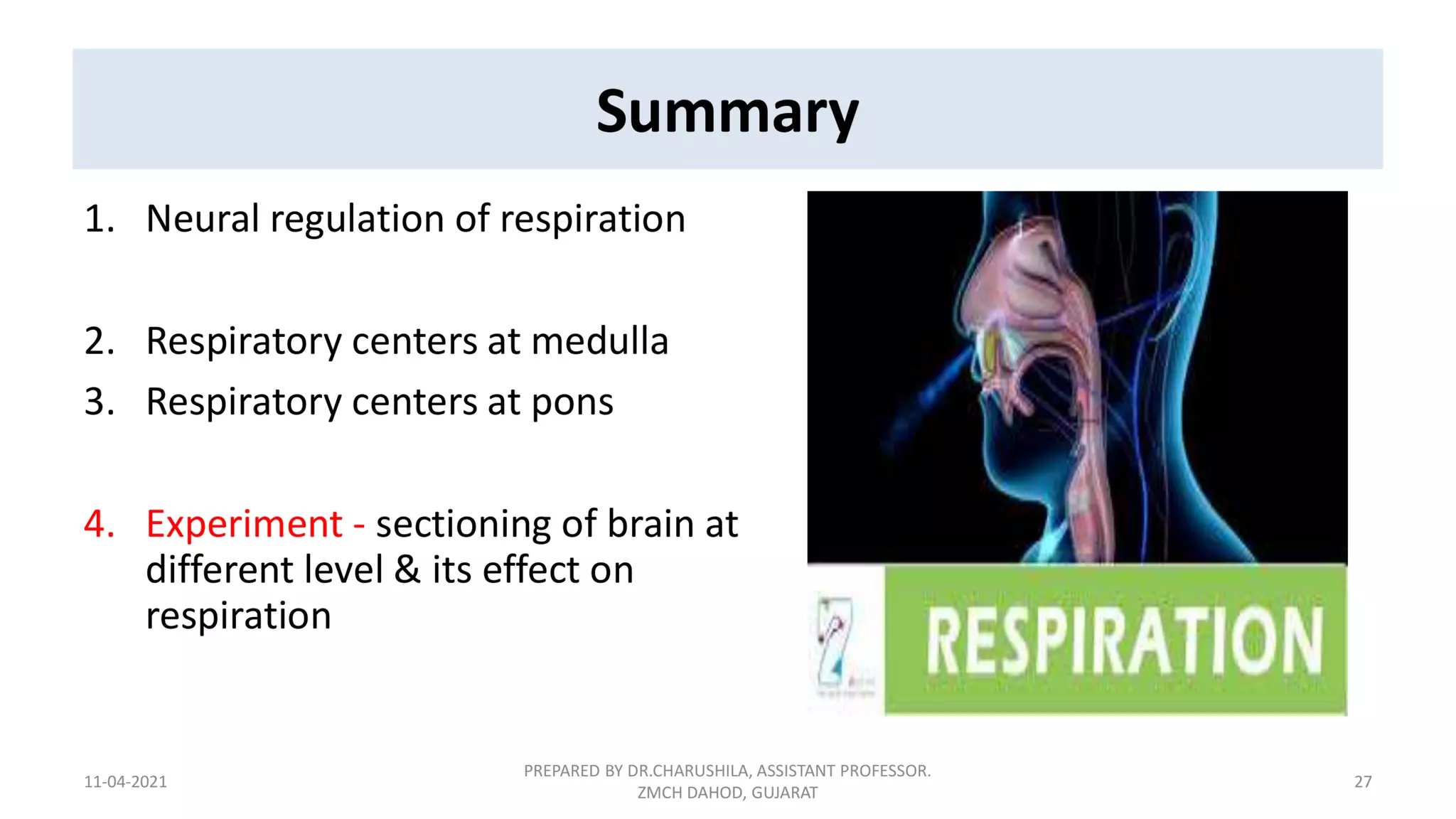 Neural regulation of respiration | PDF