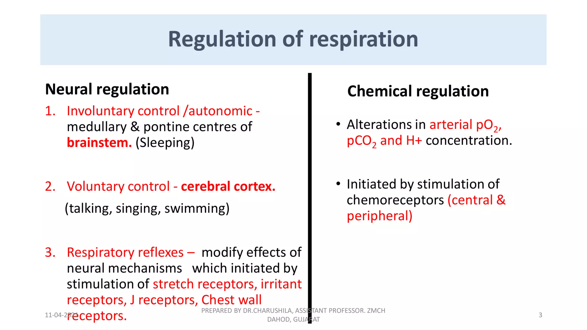 Neural regulation of respiration | PDF