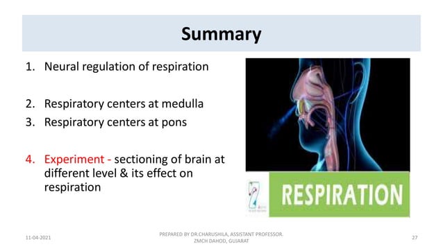Neural regulation of respiration | PDF