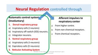 Neural regulation of respiration | PDF