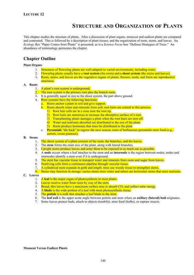 structure and function in plants | PDF