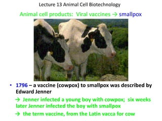 Lecture 12 viral vaccines-1 | PPT